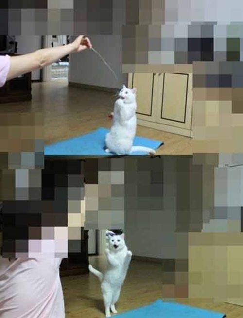 어머냥 화제, 깜짝 놀라는 표정 ‘소희와 싱크로율 100%’
